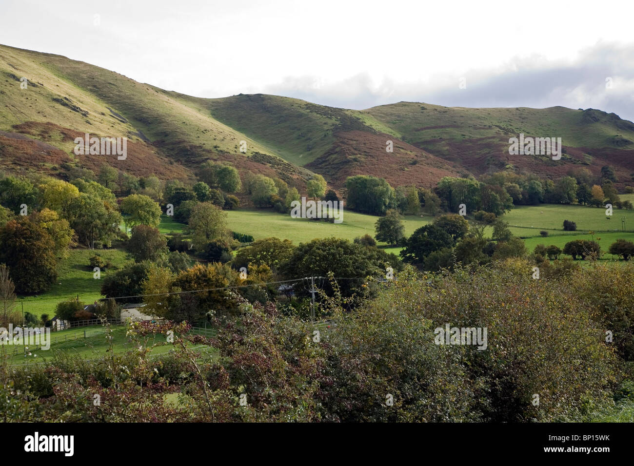 Wenlock limestone immagini e fotografie stock ad alta risoluzione - Alamy