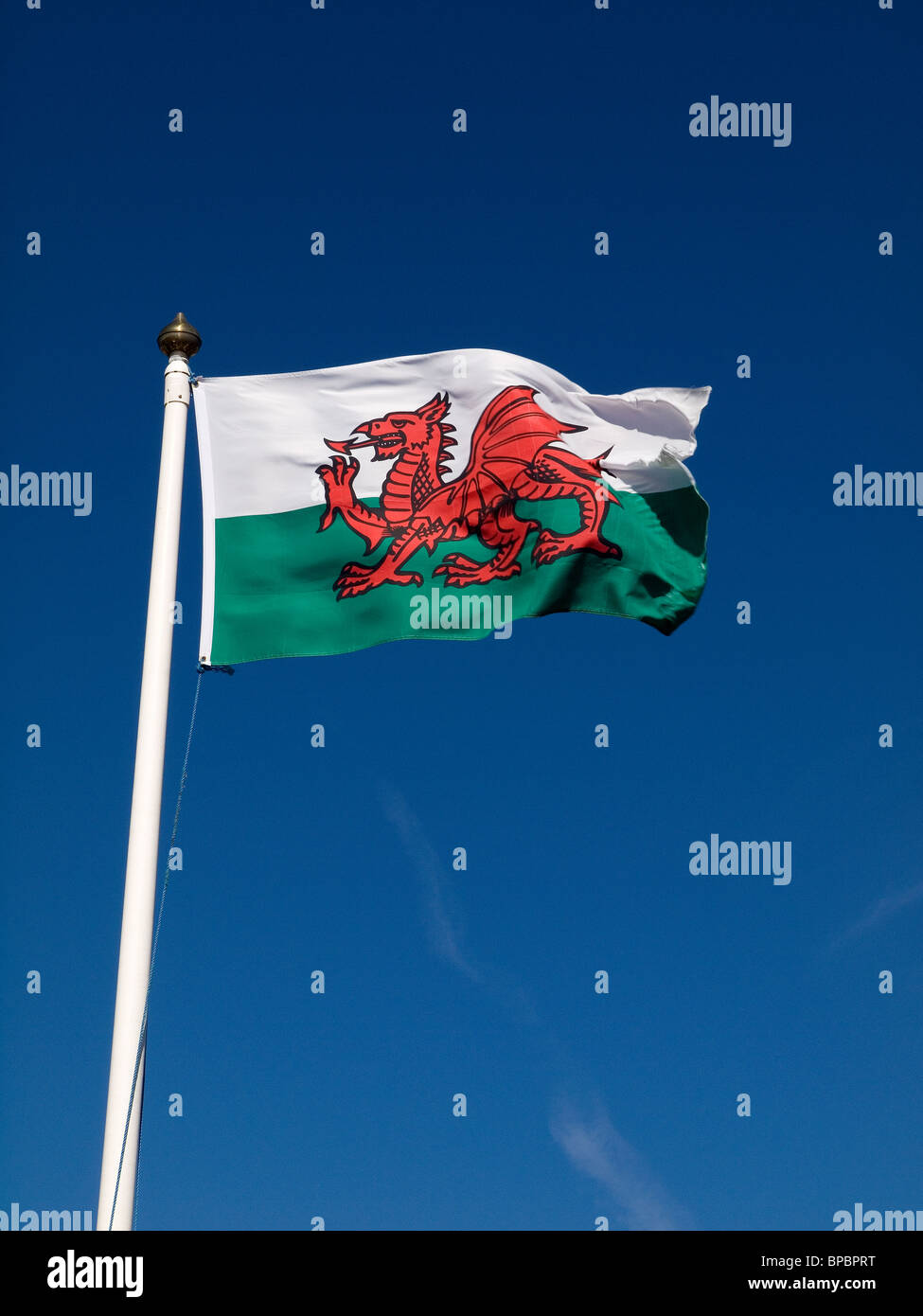 Bandiera del drago rosso immagini e fotografie stock ad alta ...