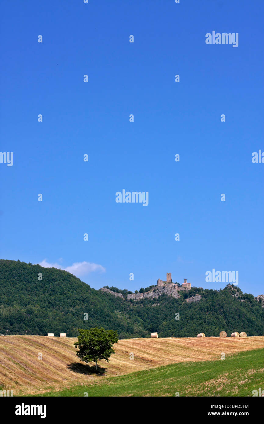 Castello dei carpineti immagini e fotografie stock ad alta risoluzione ...