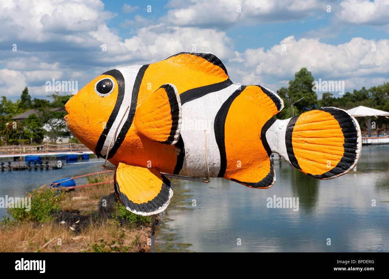 Pesce nemo immagini e fotografie stock ad alta risoluzione - Alamy