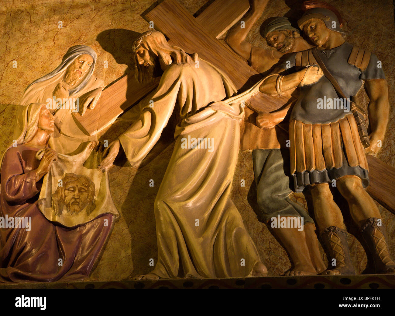 La veronica immagini e fotografie stock ad alta risoluzione - Alamy