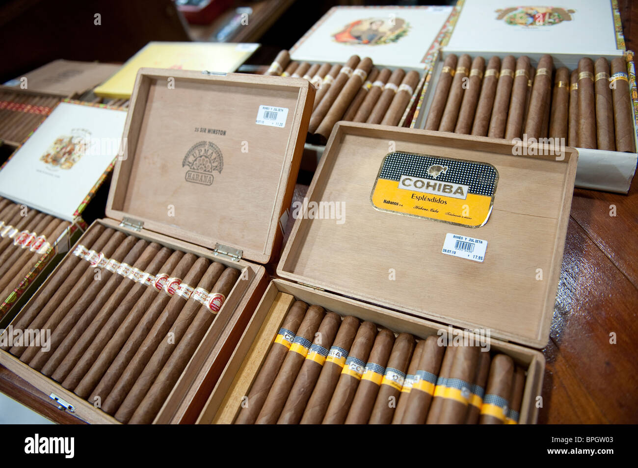 Sigari cohiba immagini e fotografie stock ad alta risoluzione - Alamy