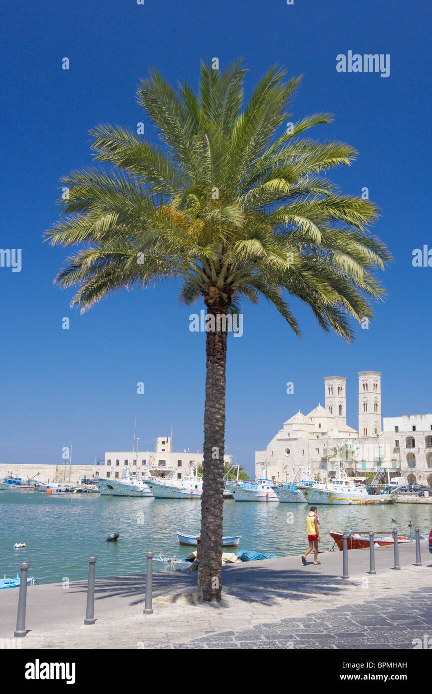 Cattedrale di molfetta immagini e fotografie stock ad alta risoluzione ...
