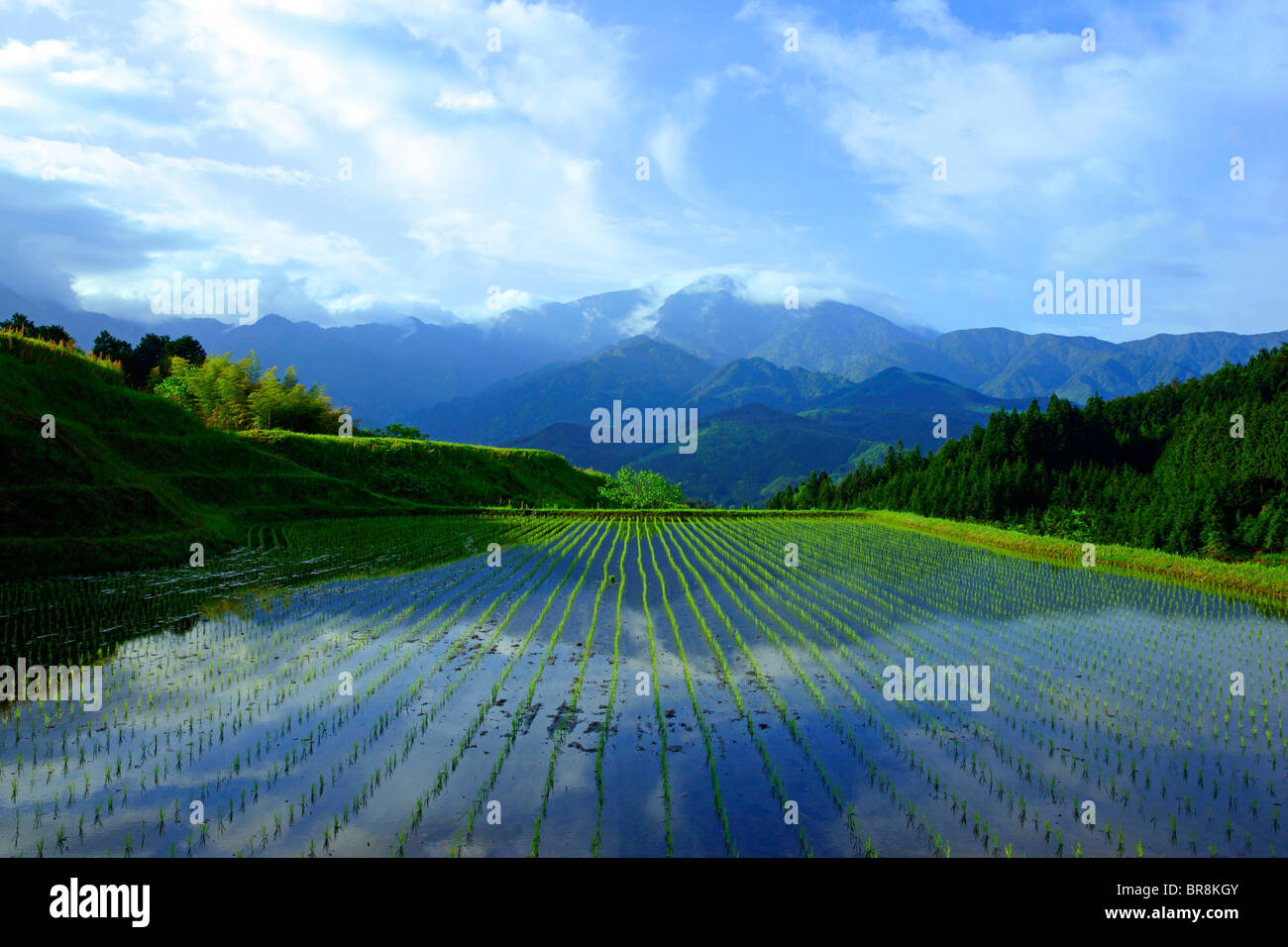Mt ena immagini e fotografie stock ad alta risoluzione - Alamy