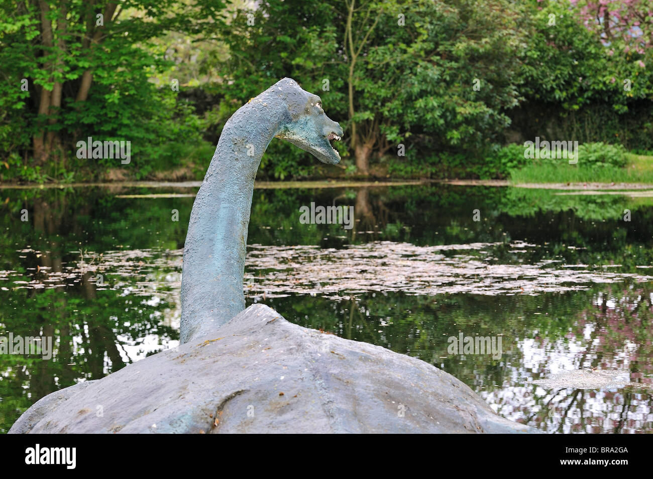 La ricostruzione di Nessie, il mostro di Loch Ness, come plesiosaur in ...