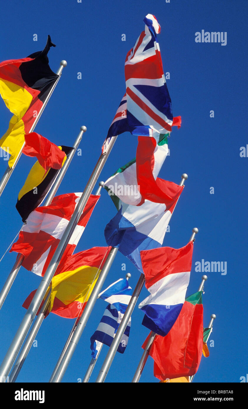 Bandiere unione europea immagini e fotografie stock ad alta risoluzione ...