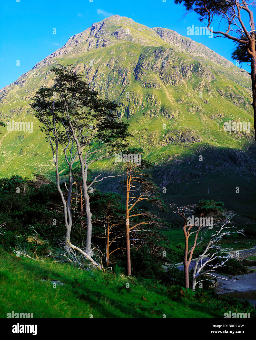 Ben gorm immagini e fotografie stock ad alta risoluzione - Alamy