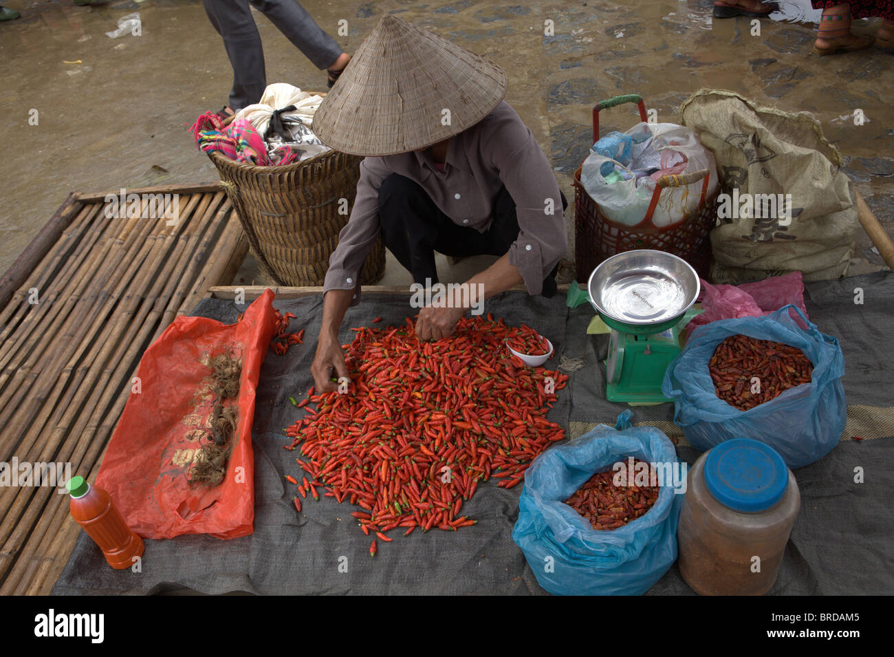 Hmong people immagini e fotografie stock ad alta risoluzione - Alamy