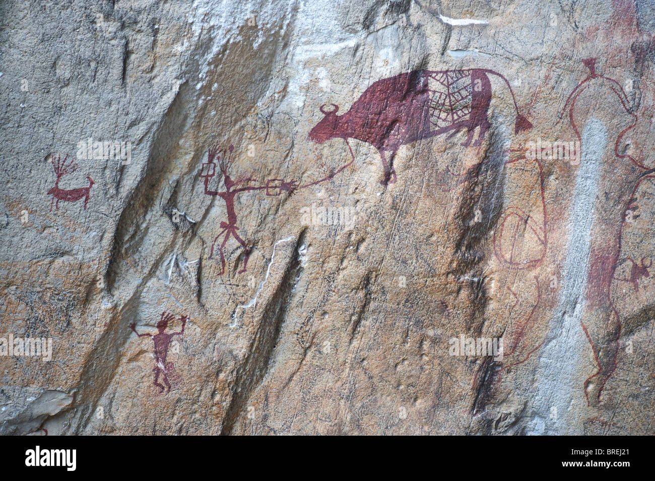 Pitture rupestri paleolitiche immagini e fotografie stock ad alta ...