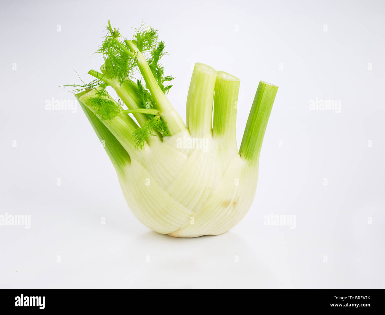 Finocchio bianco immagini e fotografie stock ad alta risoluzione - Alamy