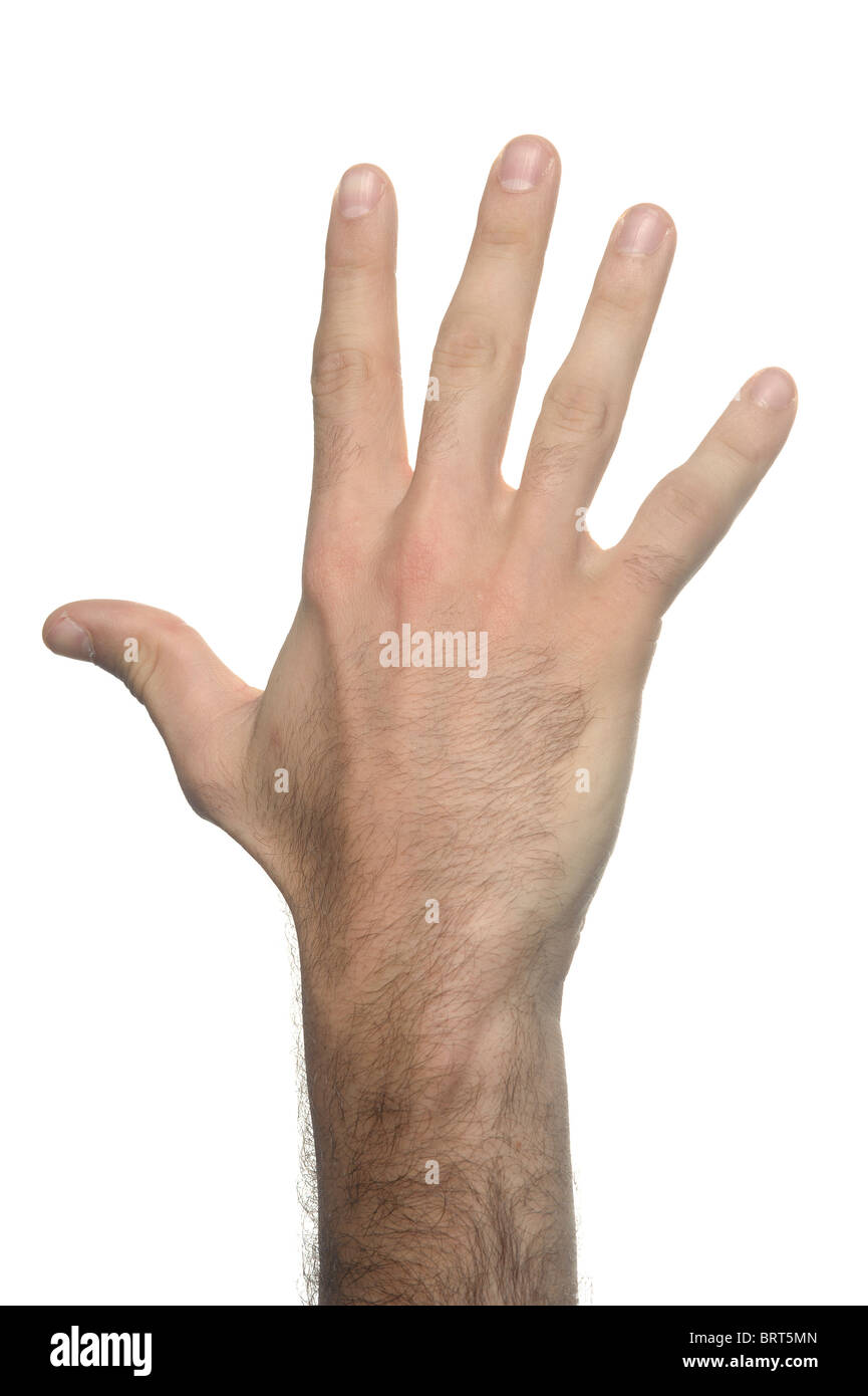 Persona di mano destra immagini e fotografie stock ad alta risoluzione ...