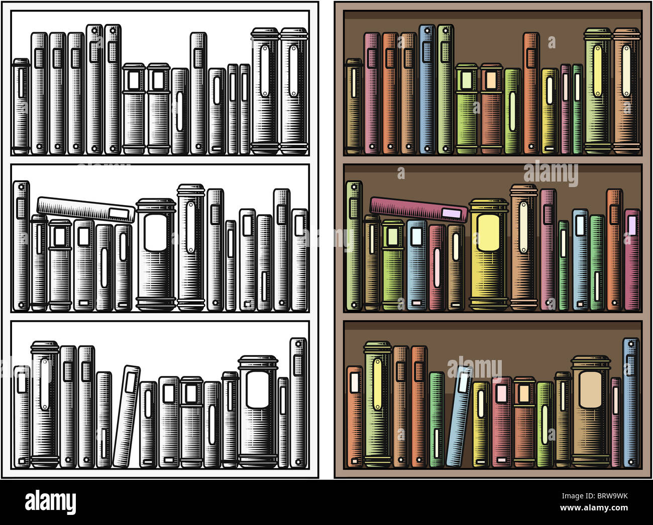 Illustrazione di libri in una libreria come in bianco e nero o a colori ...
