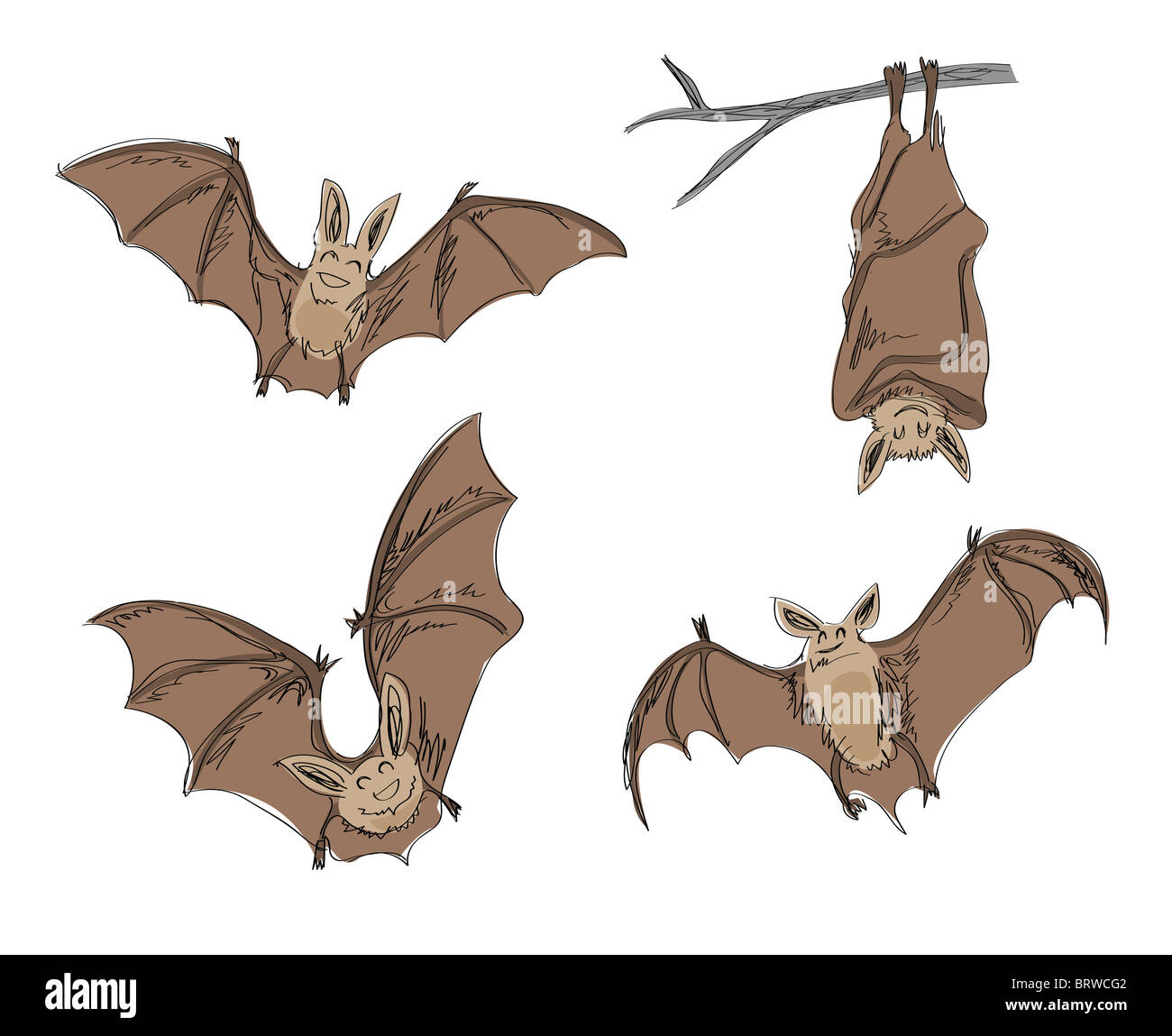 Cartoon pipistrelli, nel disegno a matita di stile Foto stock - Alamy