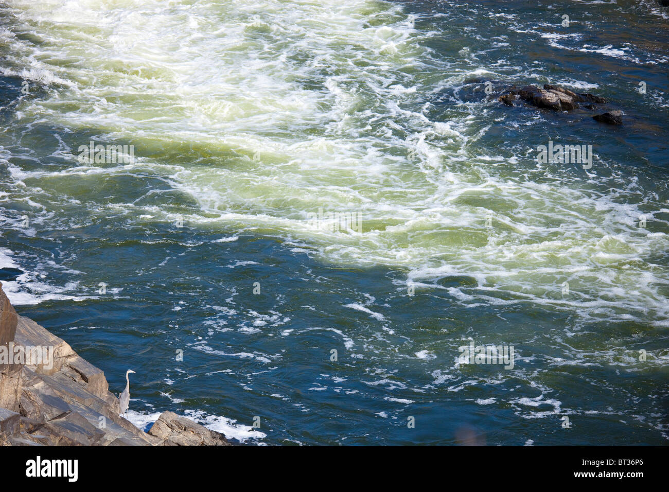 Potomac fluss, virginia immagini e fotografie stock ad alta risoluzione ...