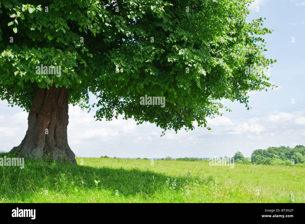 Ij rifugio immagini e fotografie stock ad alta risoluzione - Alamy