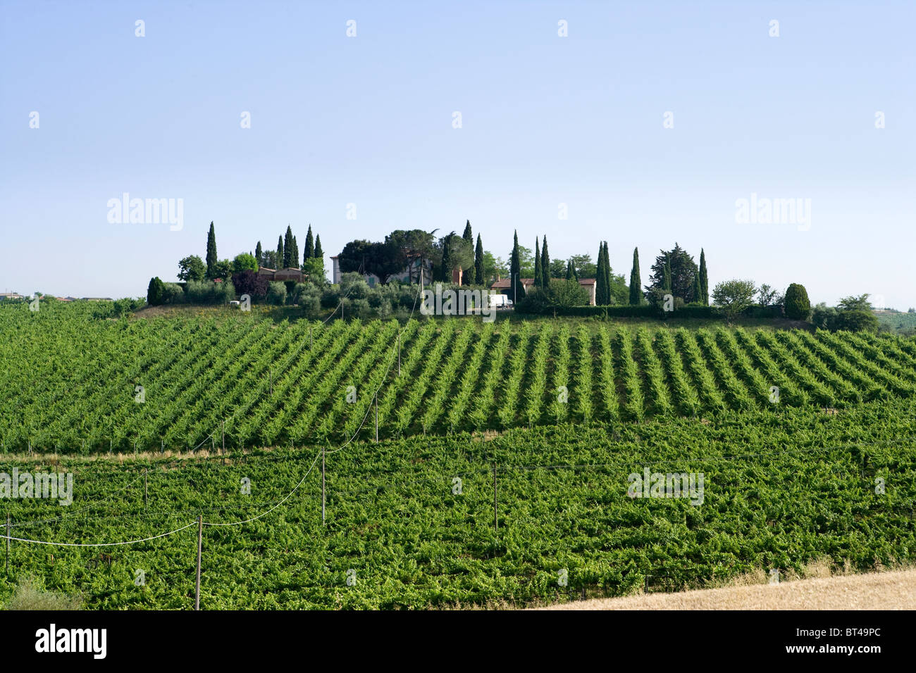 Villa e vigneto toscana immagini e fotografie stock ad alta risoluzione ...