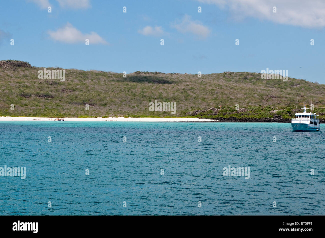Isole Galapagos, Ecuador. La Baia Gardner, Isla Española (Española ...