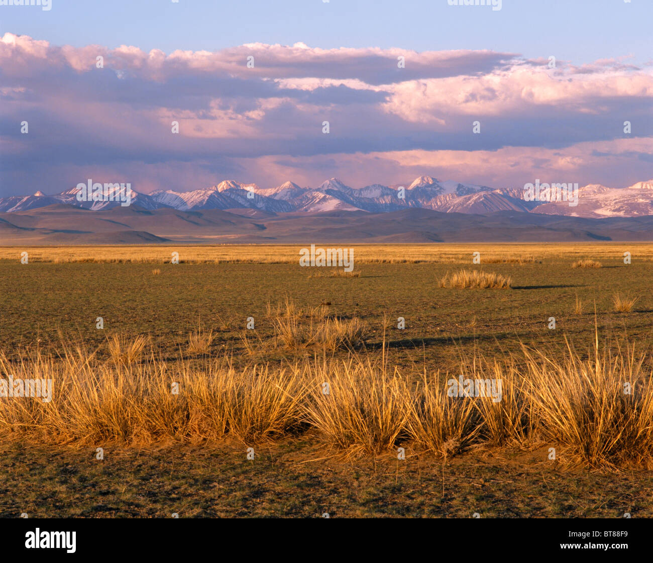 Steppa siberiana immagini e fotografie stock ad alta risoluzione - Alamy
