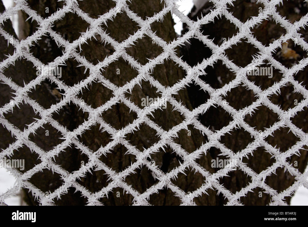 Recinzione di filo spinato brina congelamento freddo immagini e ...