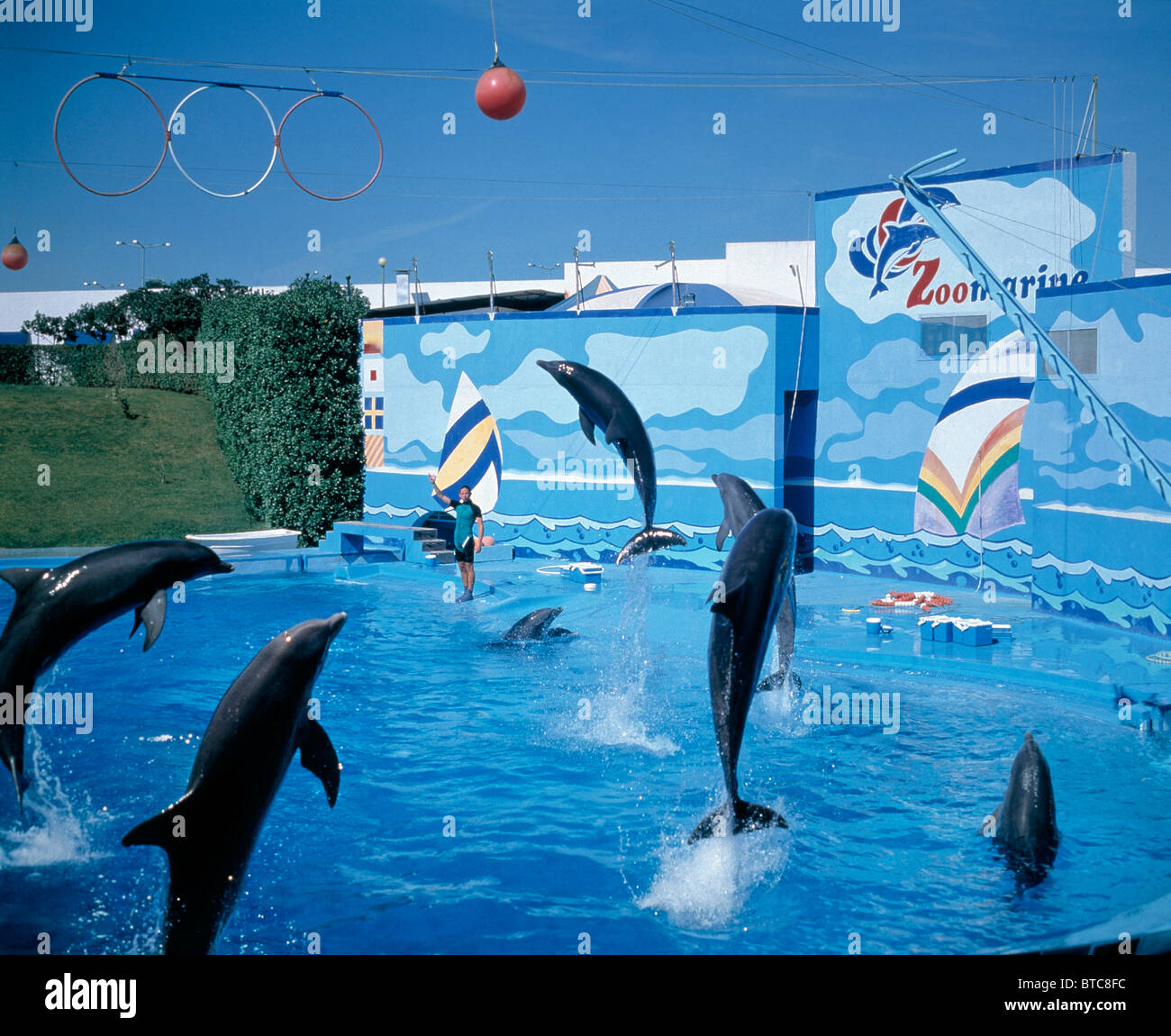 Zoomarine algarve immagini e fotografie stock ad alta risoluzione - Alamy