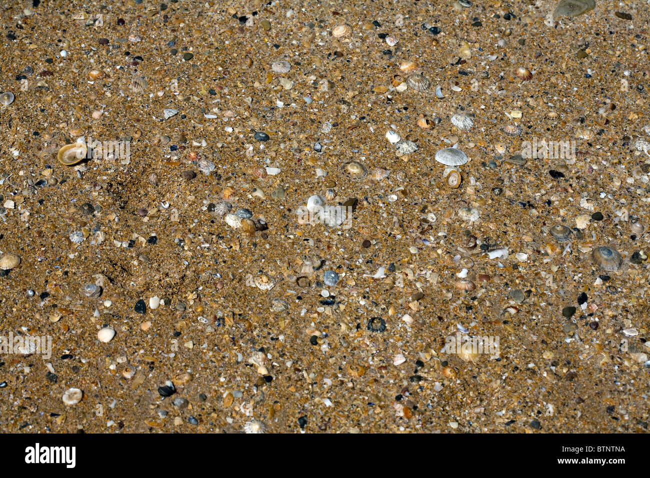 Sabbia e modelli di shell e le texture la spiaggia di Embleton Bay ...