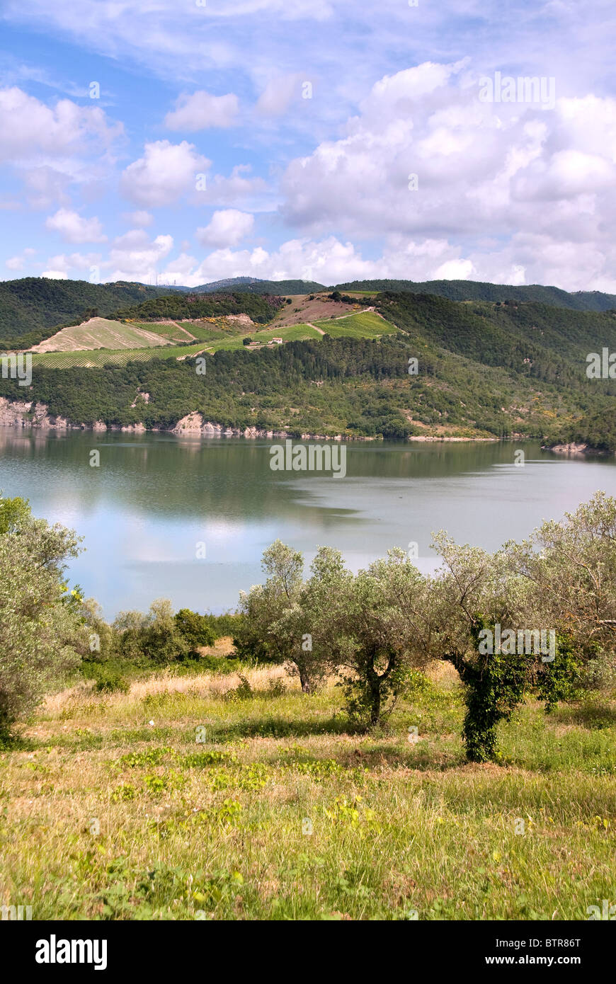 Umbria italia uliveto umbro immagini e fotografie stock ad alta ...