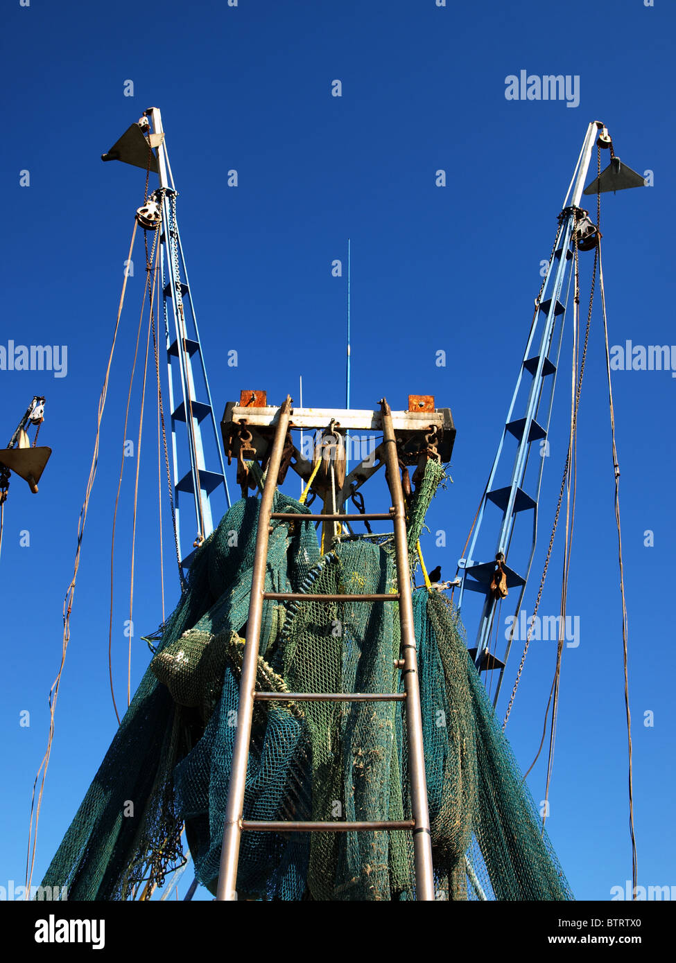 Escala de pesca immagini e fotografie stock ad alta risoluzione - Alamy