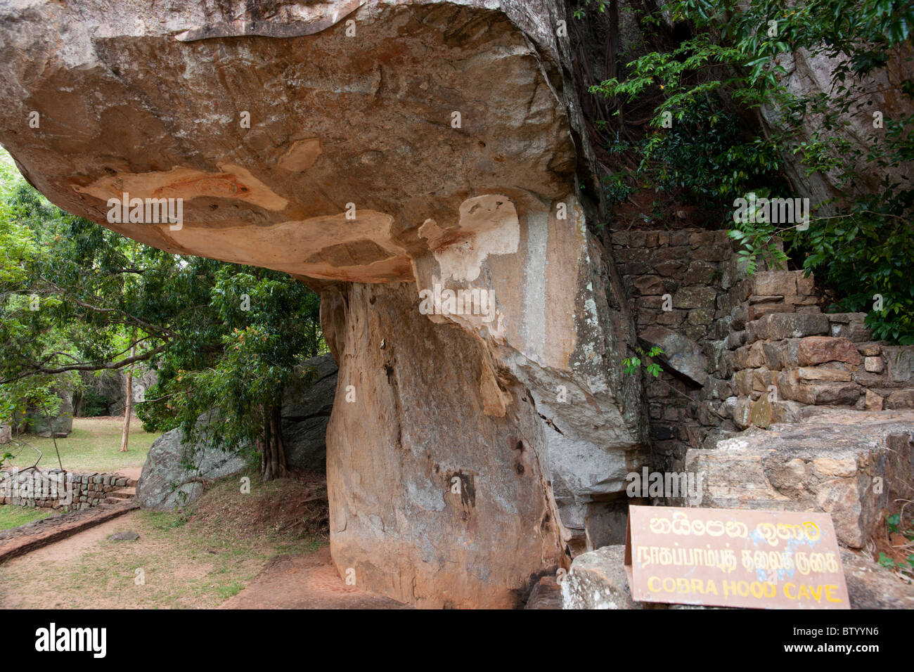 Sigiriya cobra hood cave rock sri lanka immagini e fotografie stock ad ...