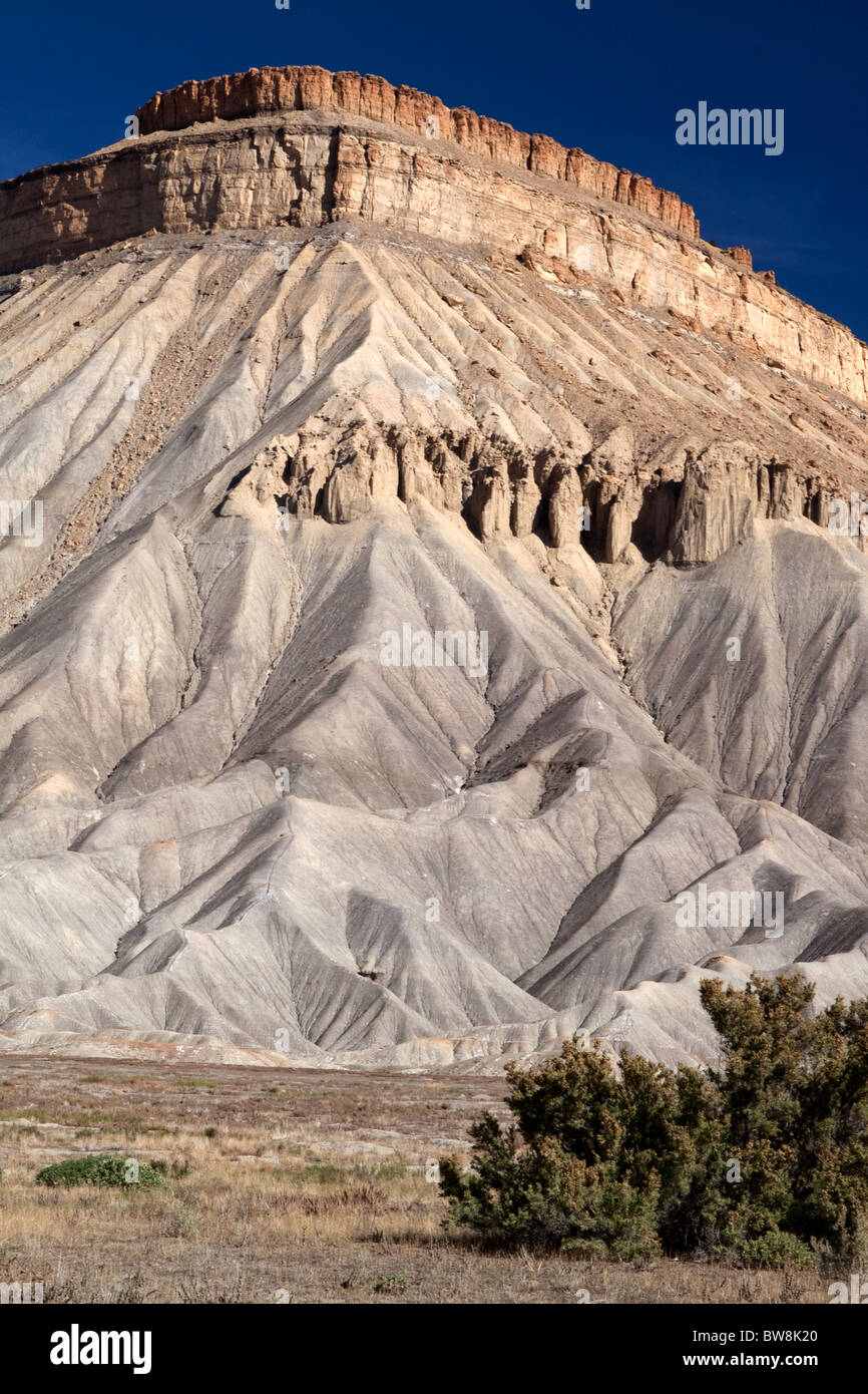 Montare garfield immagini e fotografie stock ad alta risoluzione - Alamy