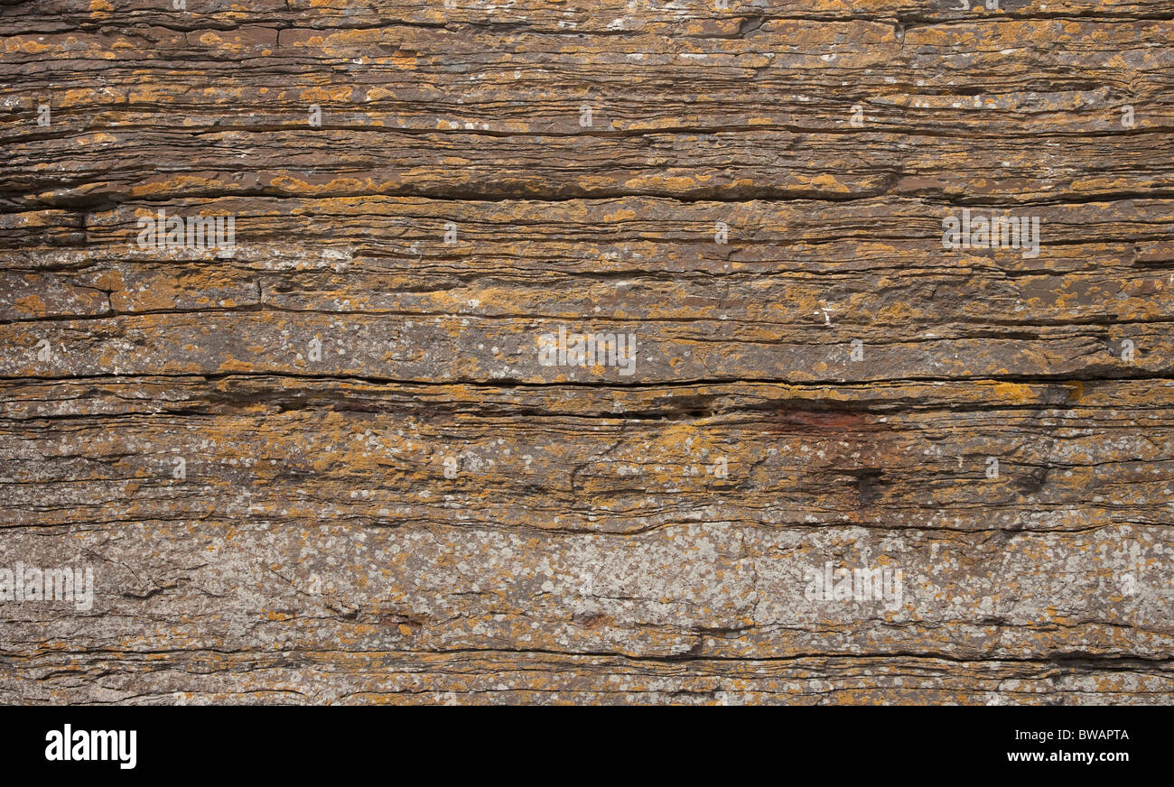 Rock texture immagini e fotografie stock ad alta risoluzione - Alamy