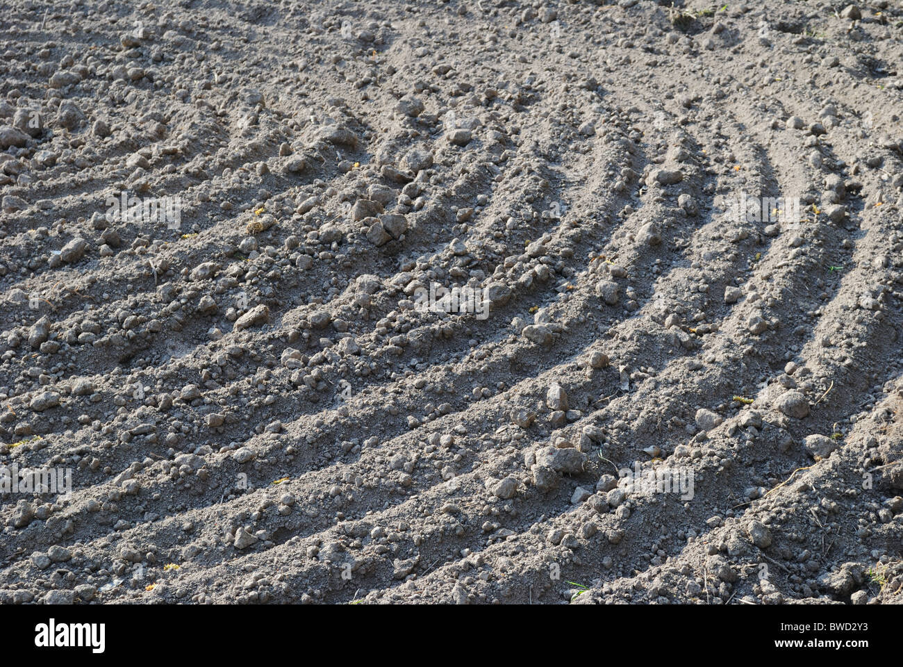 Terreno arato immagini e fotografie stock ad alta risoluzione - Alamy