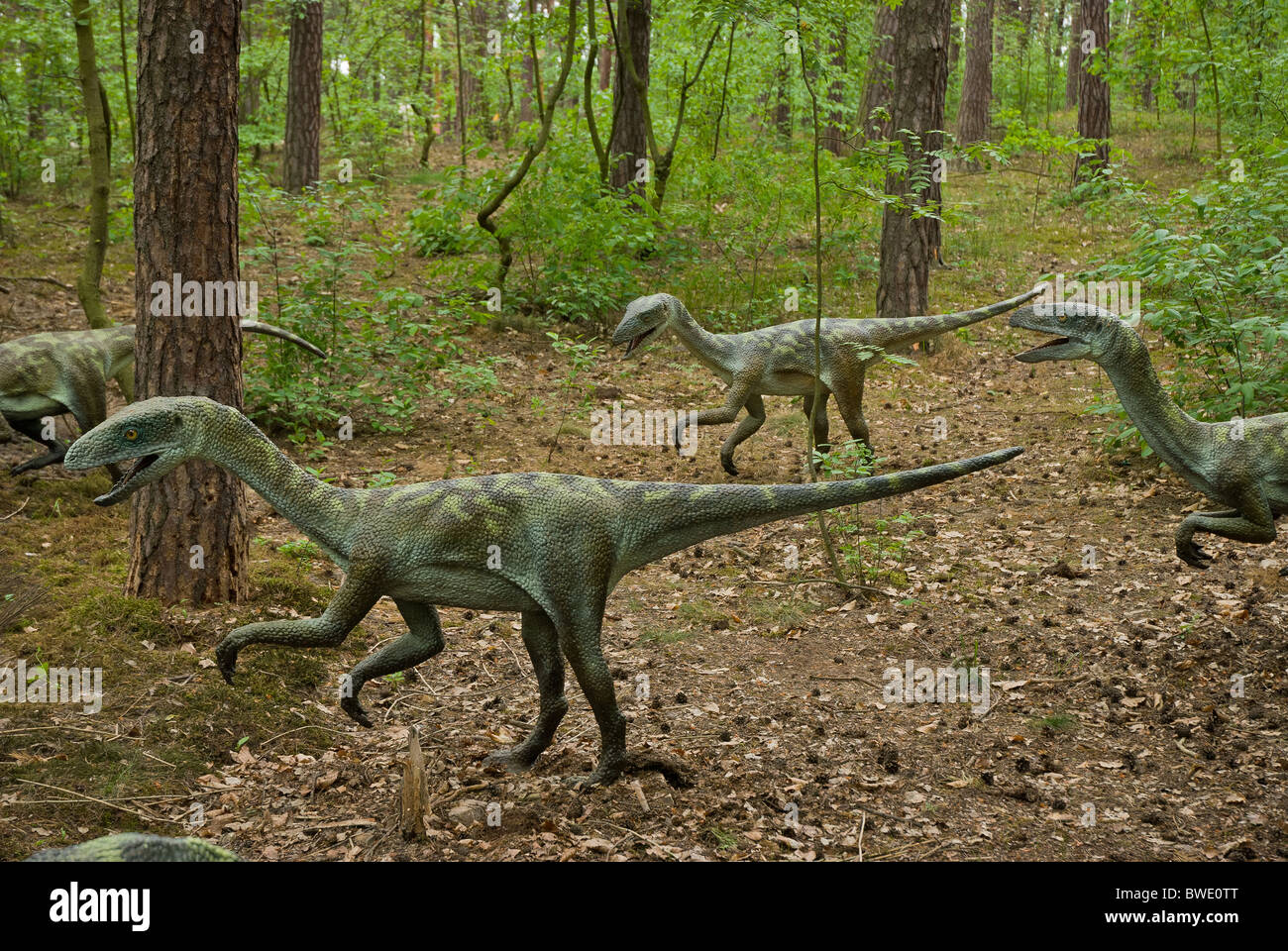 Modelo de dinosaurios immagini e fotografie stock ad alta risoluzione ...