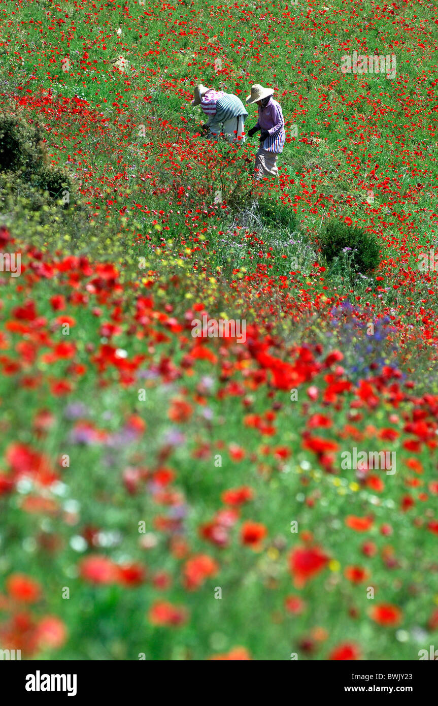 Due mogli di contadini immagini e fotografie stock ad alta risoluzione ...
