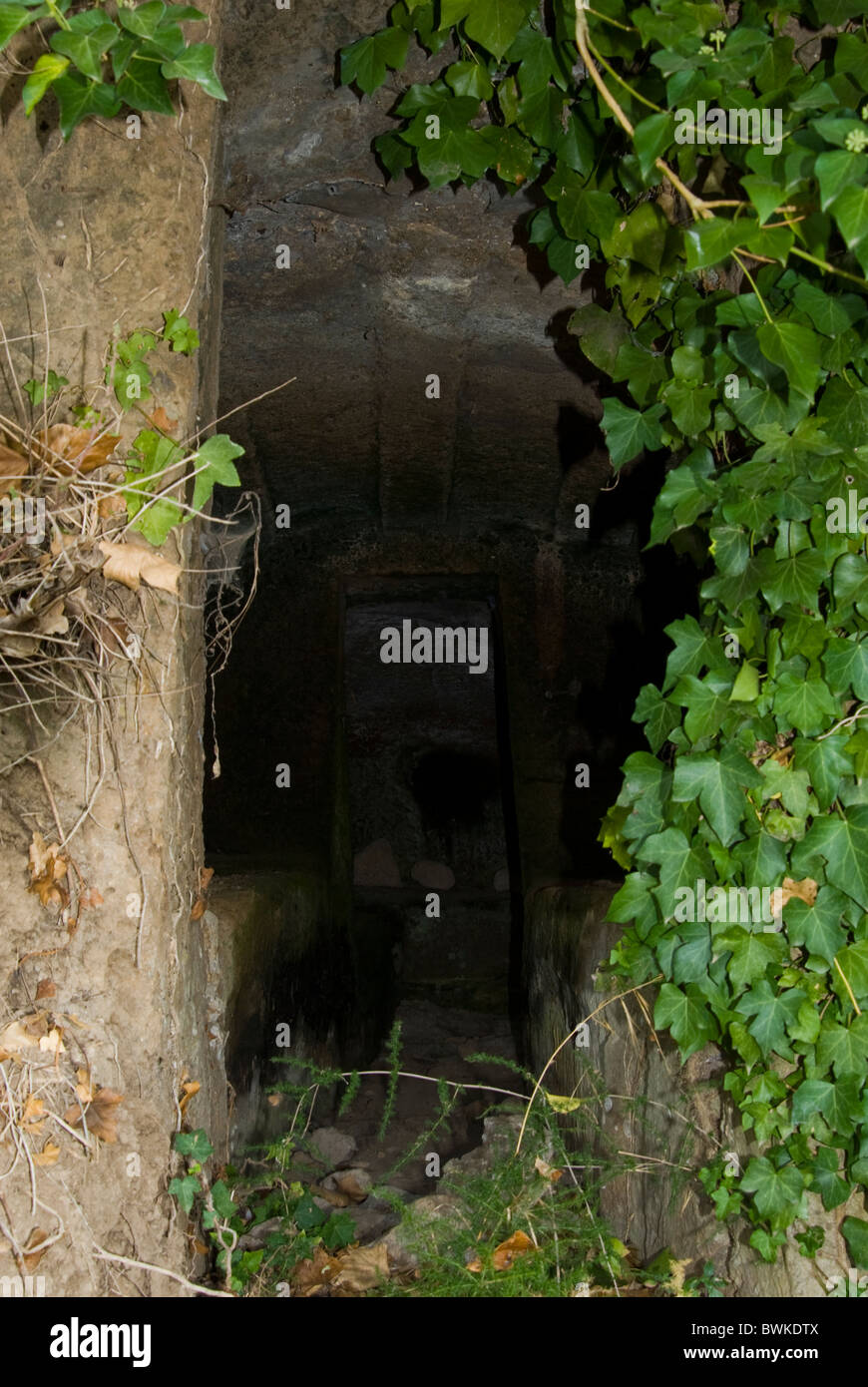 Tomba etrusca, necropoli etrusca di San Potente, Tuscania, provincia di ...
