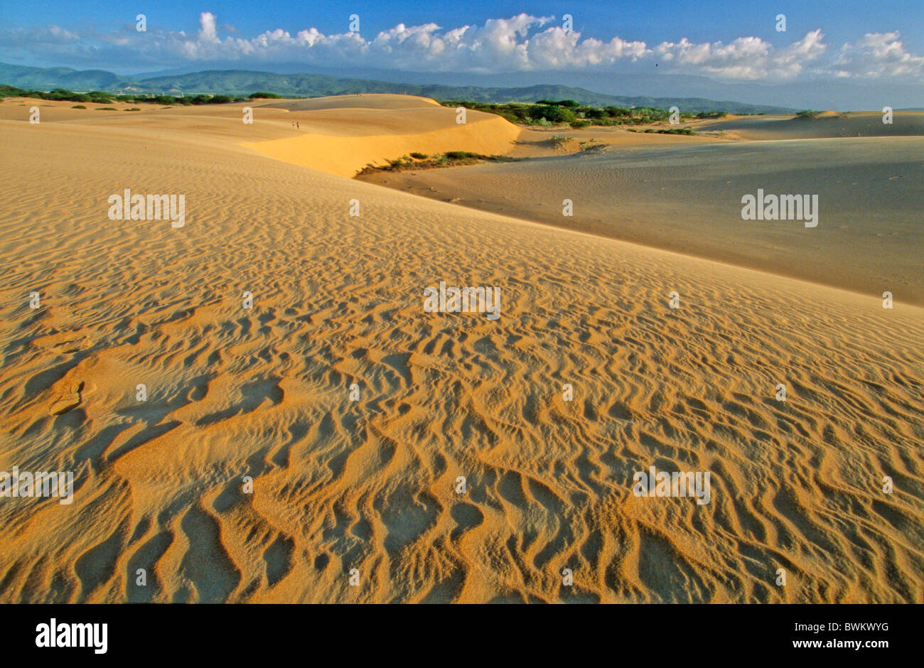 Parque nacional medanos de coro immagini e fotografie stock ad alta ...