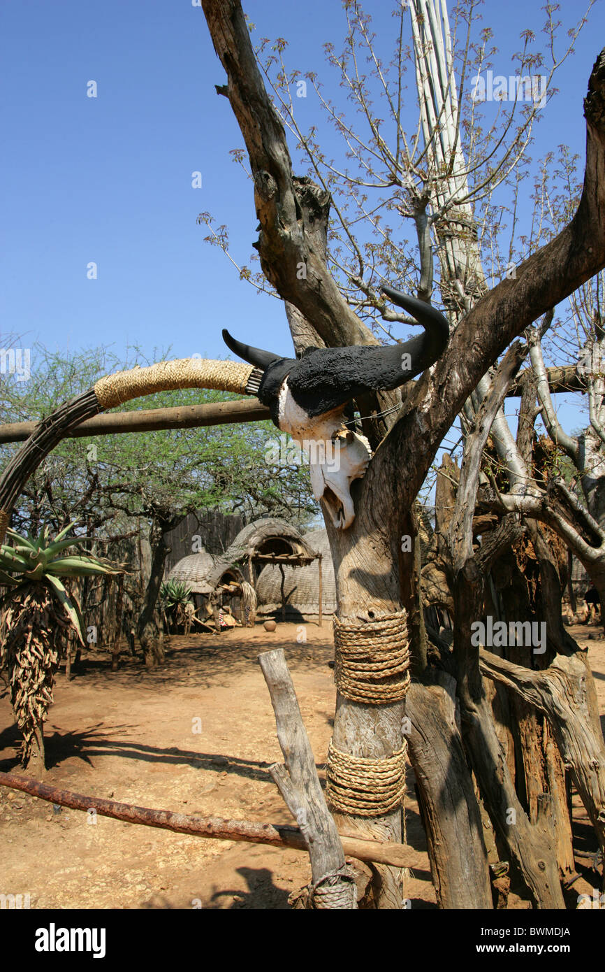 Shakaland cultural village immagini e fotografie stock ad alta ...