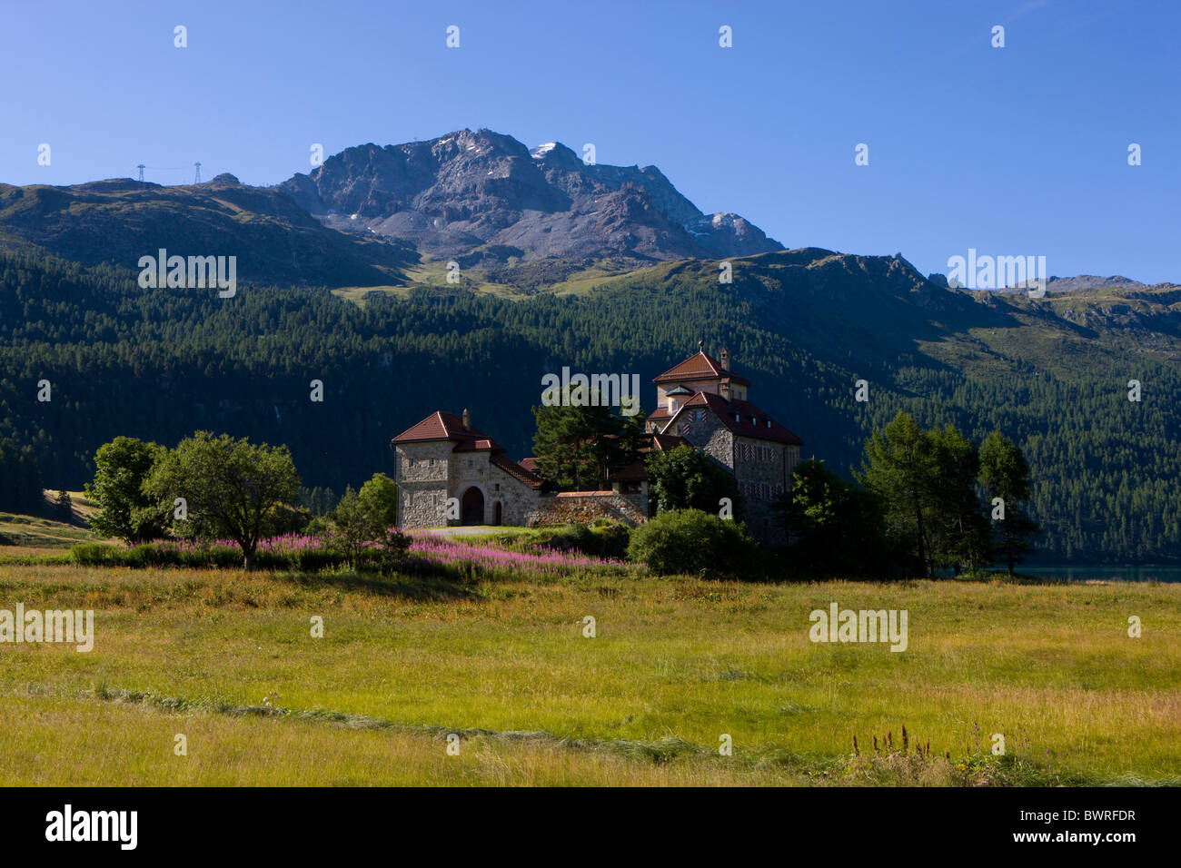 Svizzera Europa Silvaplana Cantone dei Grigioni Grigioni Grigioni ...
