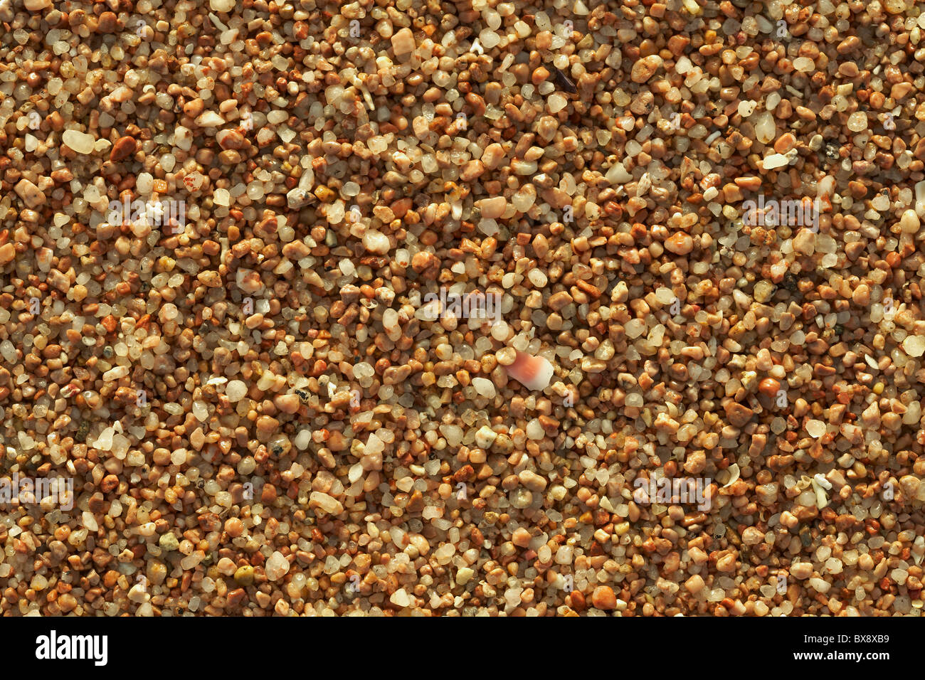 Consistenza granulosa della sabbia immagini e fotografie stock ad alta ...