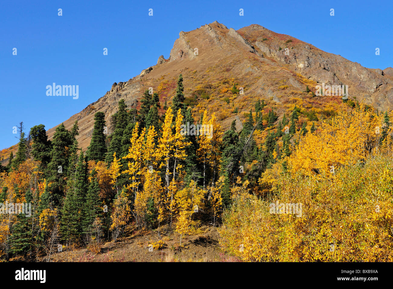 Igloo alaska immagini e fotografie stock ad alta risoluzione - Alamy