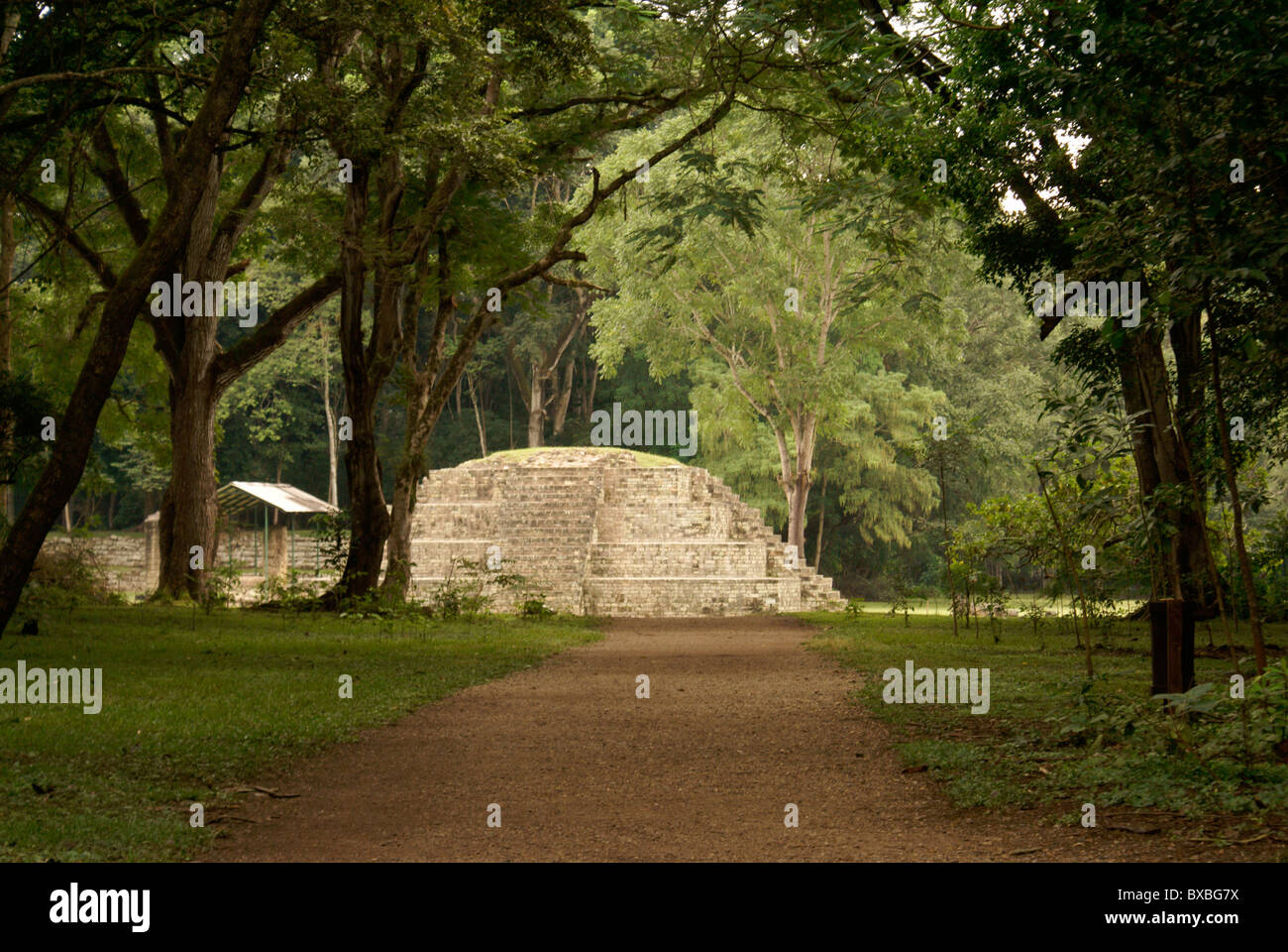 Sacbe mayan road immagini e fotografie stock ad alta risoluzione - Alamy