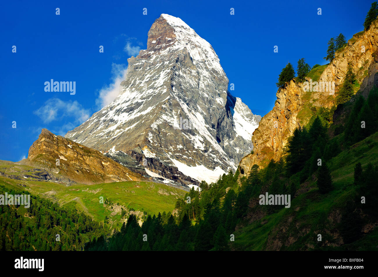 Alpi svizzere immagini e fotografie stock ad alta risoluzione - Alamy