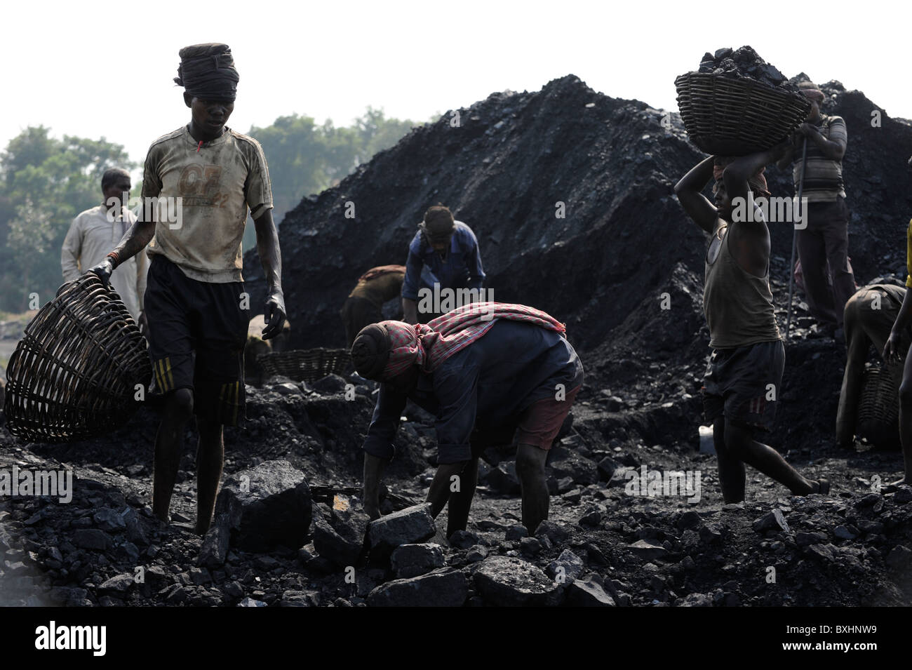 India Jharkhand Dhanbad , le miniere di carbone di Bharat carbone da ...