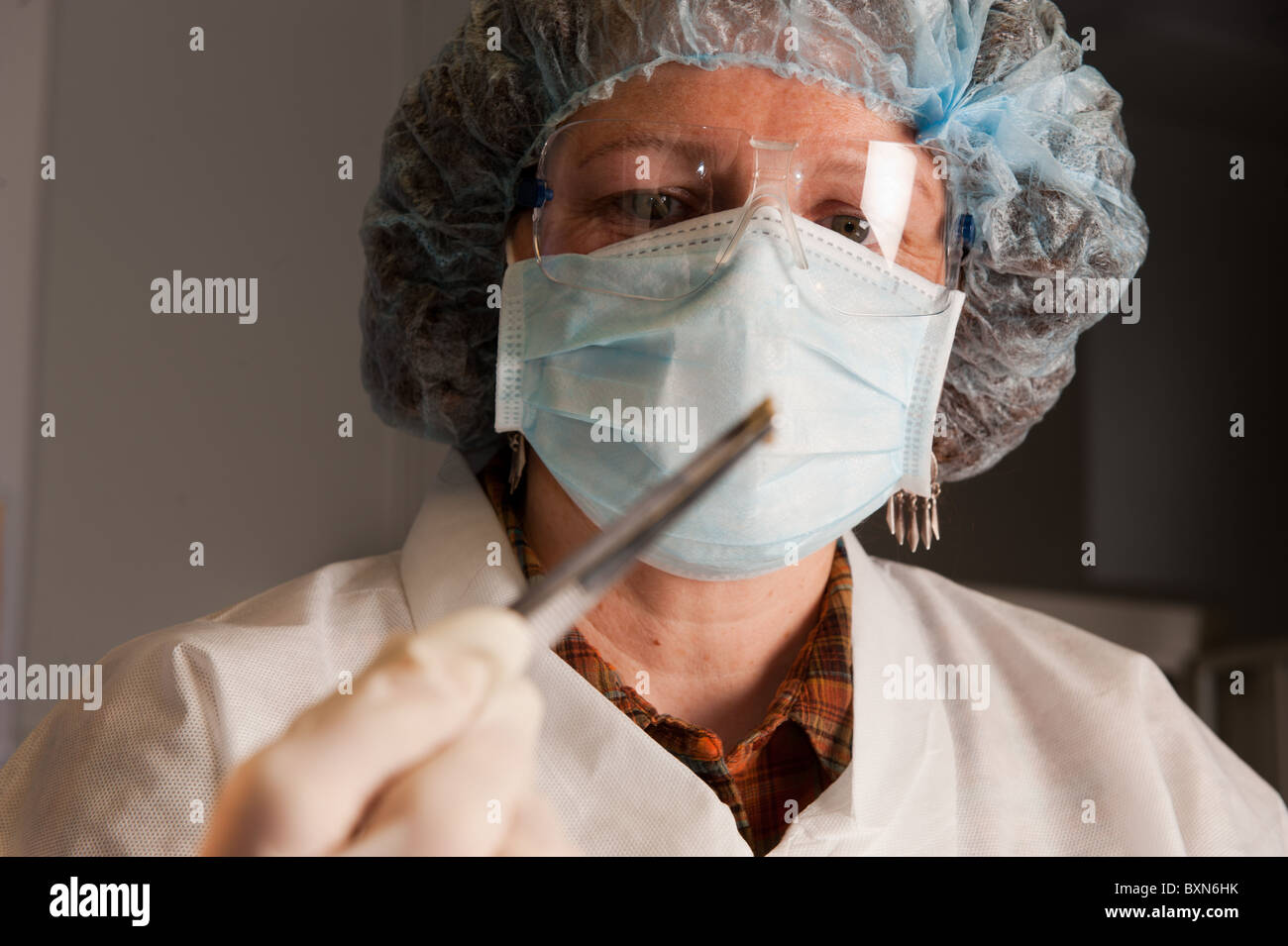 Tecnico dell'autopsia forense immagini e fotografie stock ad alta ...