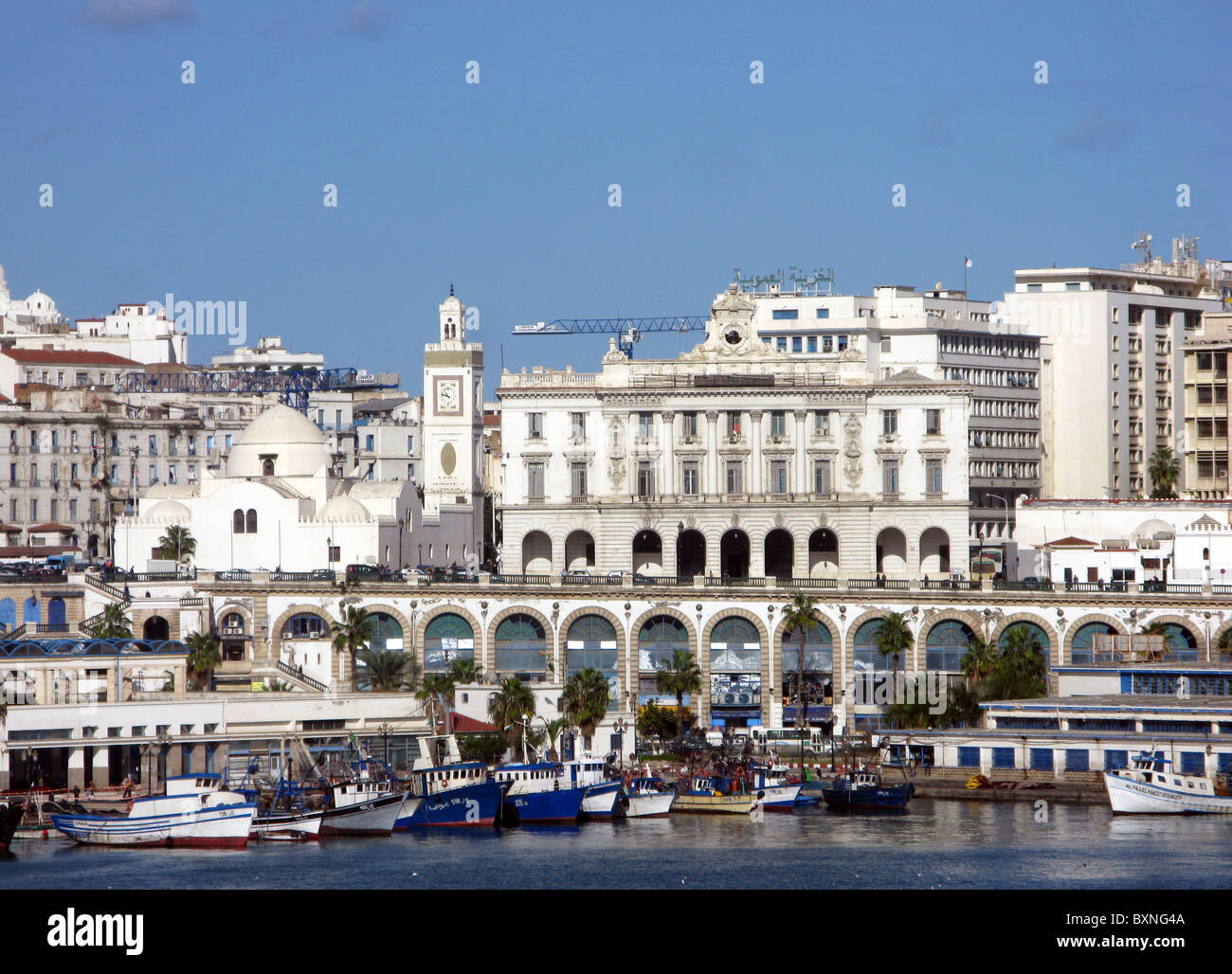 THE 10 BEST Things To Do In Algiers 2024 Must See Attractions Le Jardin ...