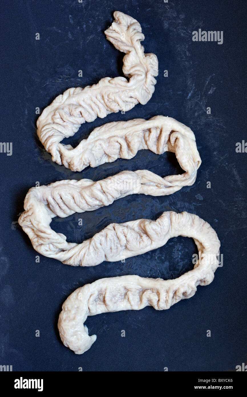 Intestino maiale immagini e fotografie stock ad alta risoluzione - Alamy