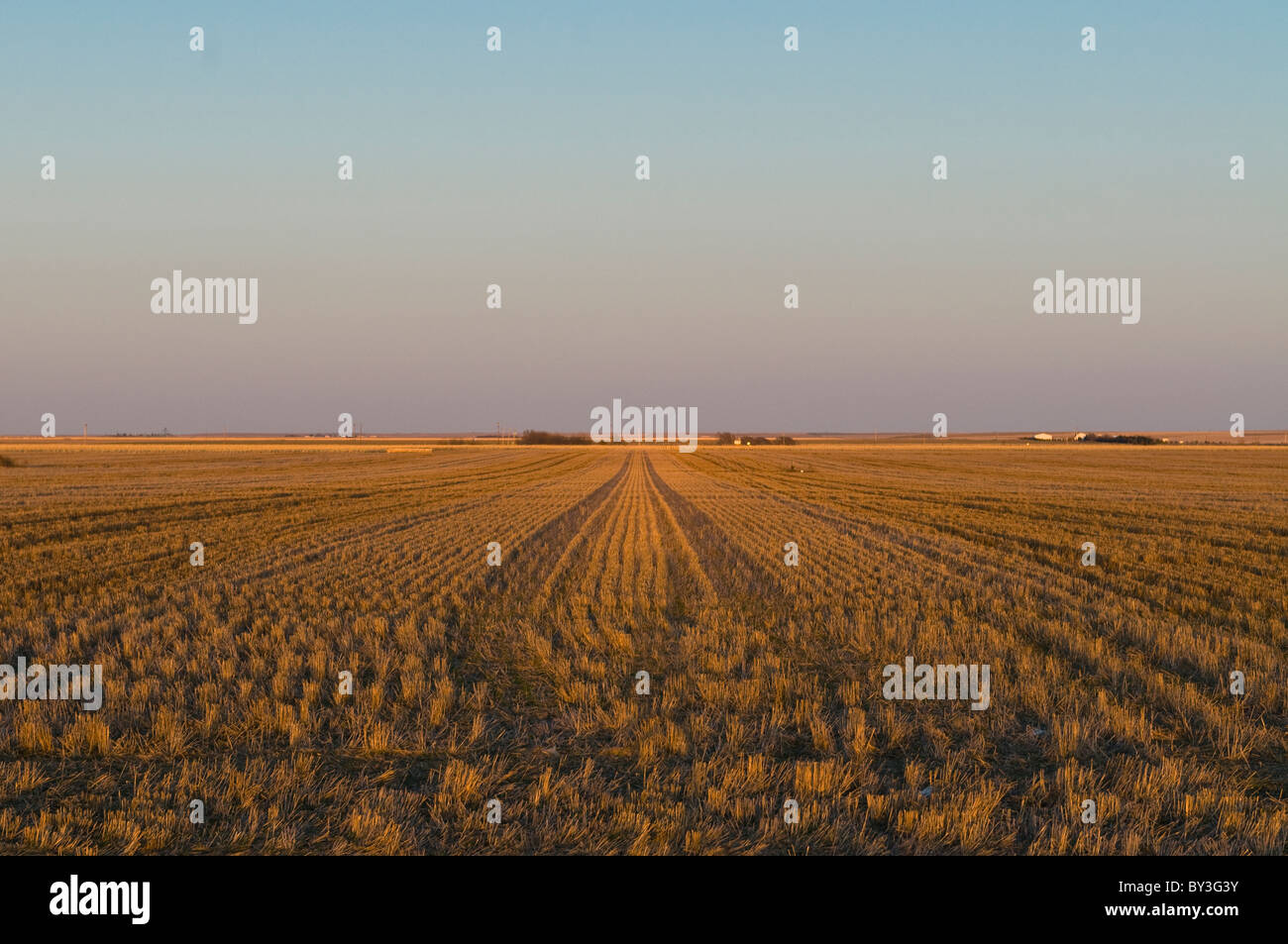 Rural kansas people immagini e fotografie stock ad alta risoluzione - Alamy