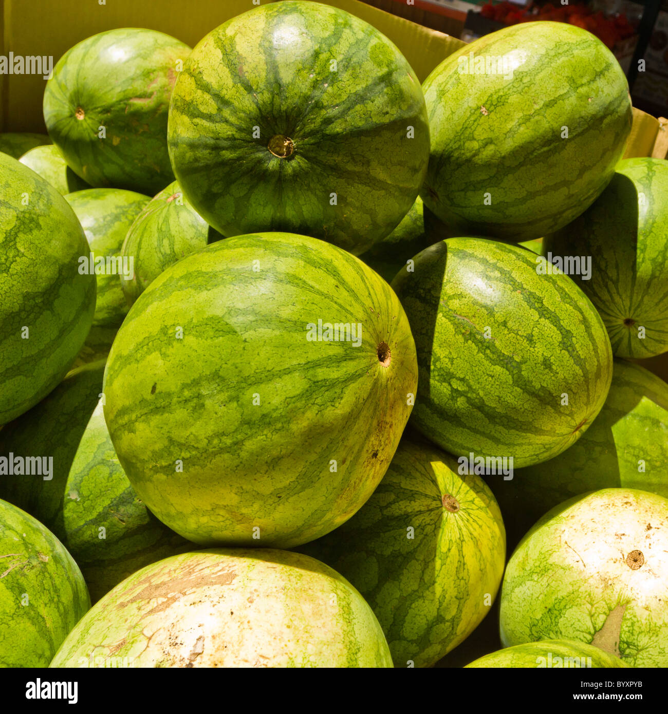 Meloni in mostra immagini e fotografie stock ad alta risoluzione - Alamy