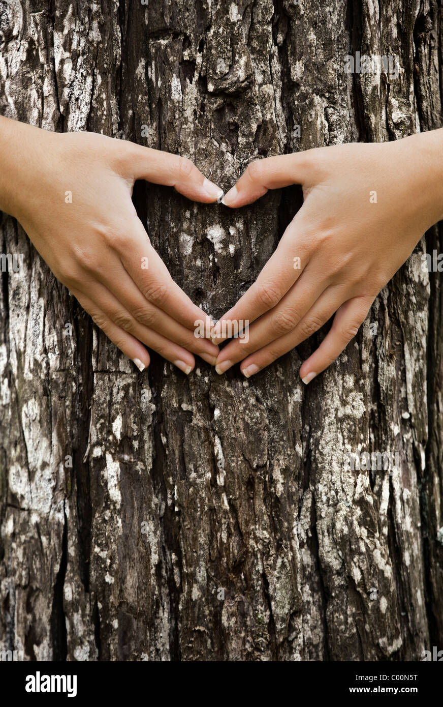 Fare A Forma Di Cuore Con Le Mani Immagini e Fotos Stock - Alamy