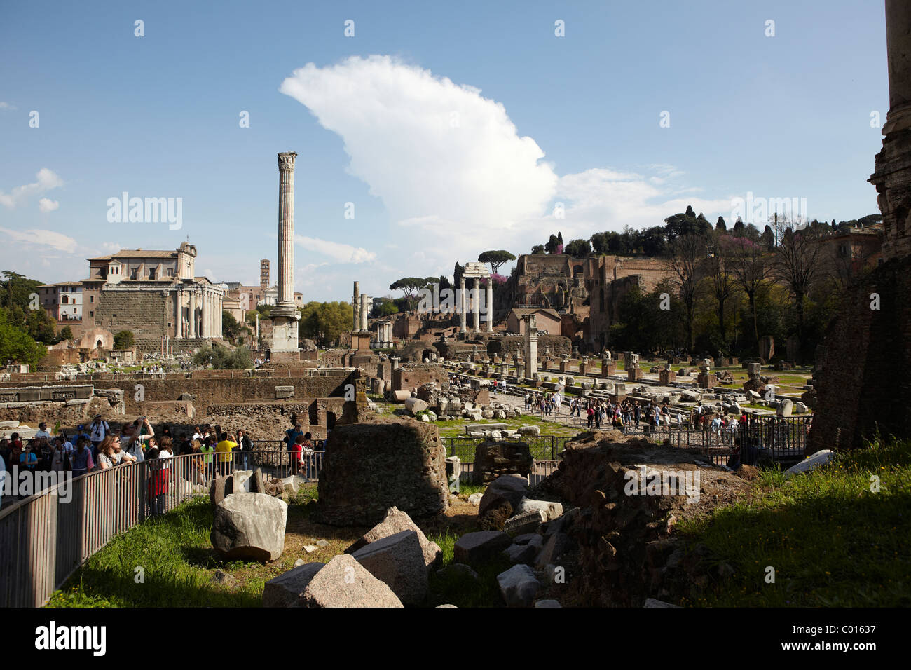 Collis palatinus immagini e fotografie stock ad alta risoluzione - Alamy