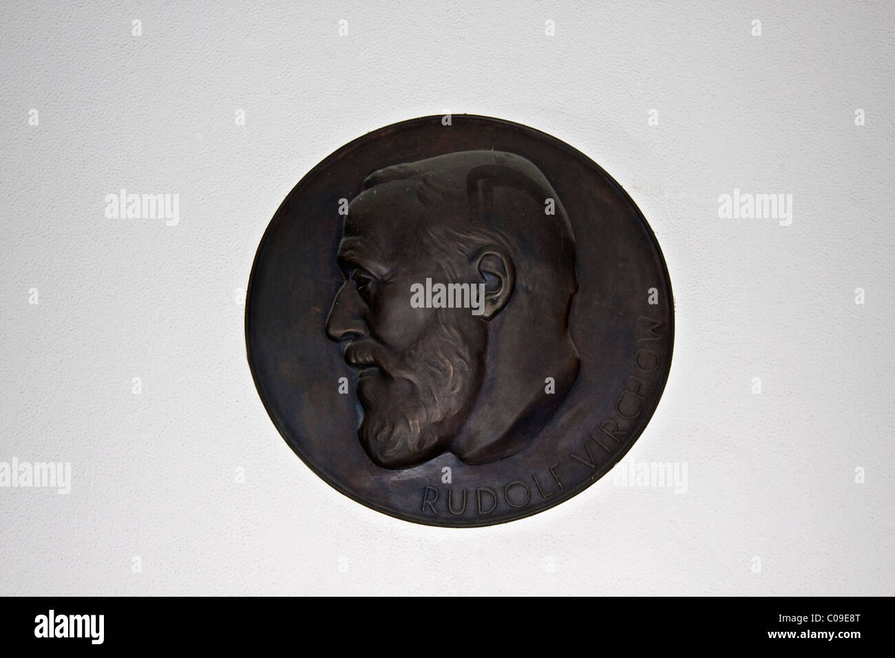 Placca di metallo con il ritratto di Rudolf Ludwig Karl Virchow all ...